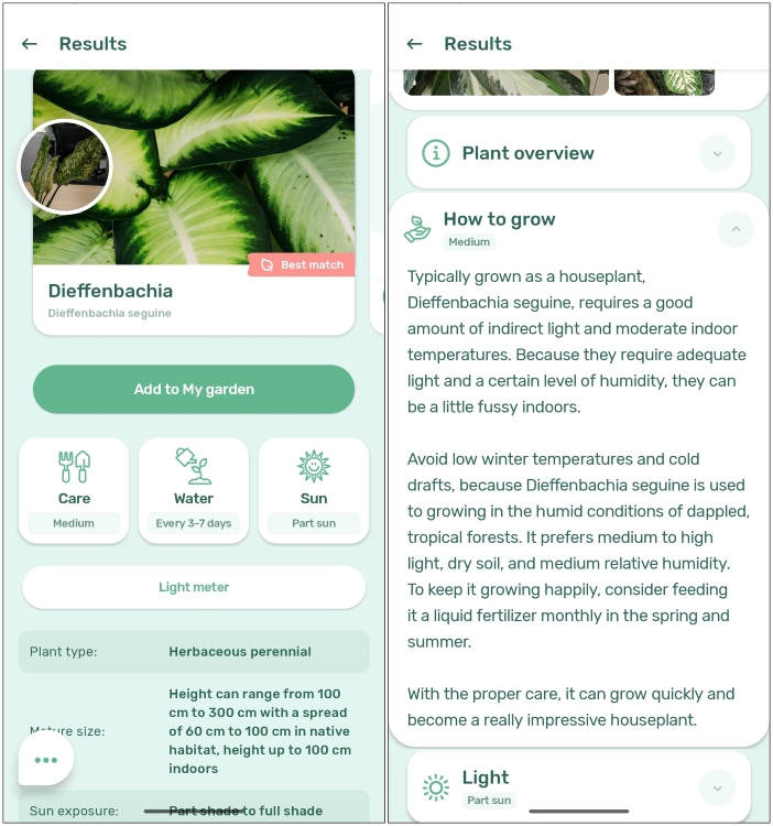 10 Best Plants Identifier Apps in 2025 (Free & Paid) | Beebom