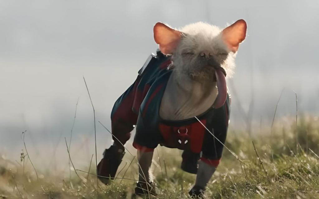 Top 8 Deadpool Variants Ranked from Weakest to Strongest | Beebom