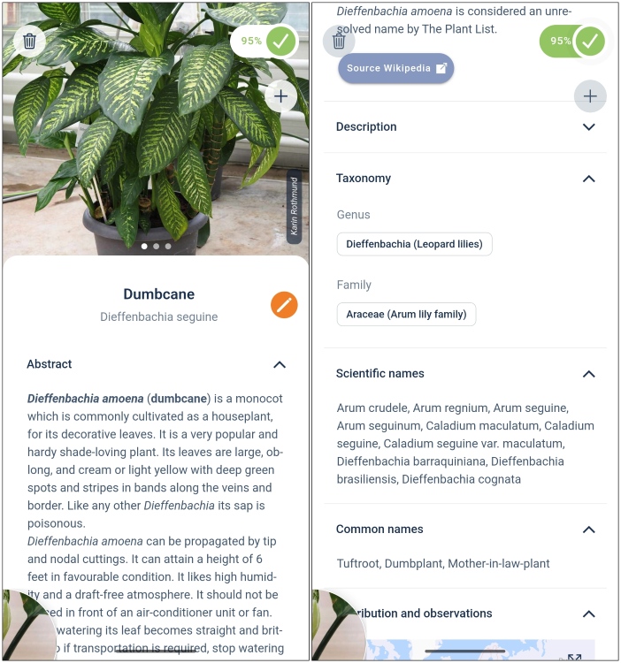 10 Best Plants Identifier Apps in 2025 (Free & Paid) | Beebom