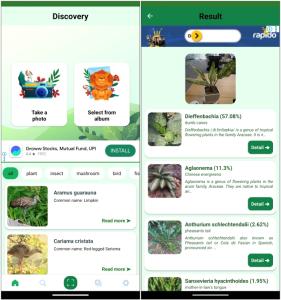 10 Best Plants Identifier Apps in 2025 (Free & Paid) | Beebom