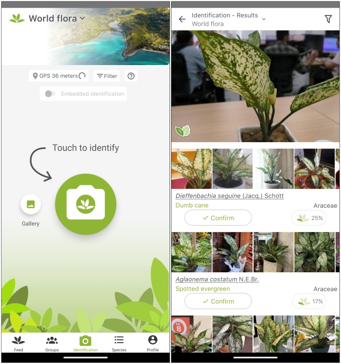 10 Best Plants Identifier Apps in 2025 (Free & Paid) | Beebom