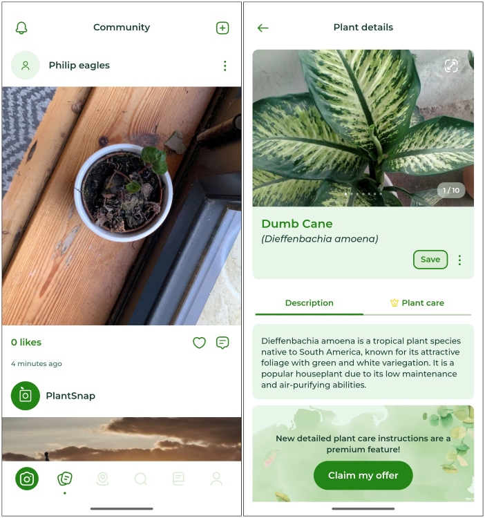 10 Best Plants Identifier Apps in 2025 (Free & Paid) | Beebom