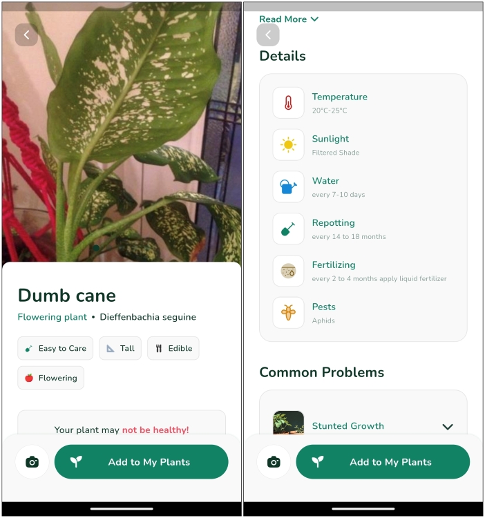 10 Best Plants Identifier Apps in 2025 (Free & Paid) | Beebom
