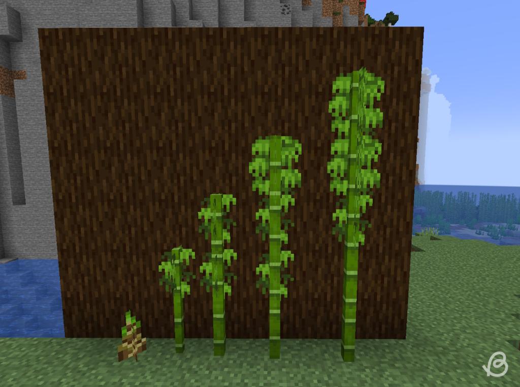 How to Find and Use Bamboo in Minecraft | Beebom