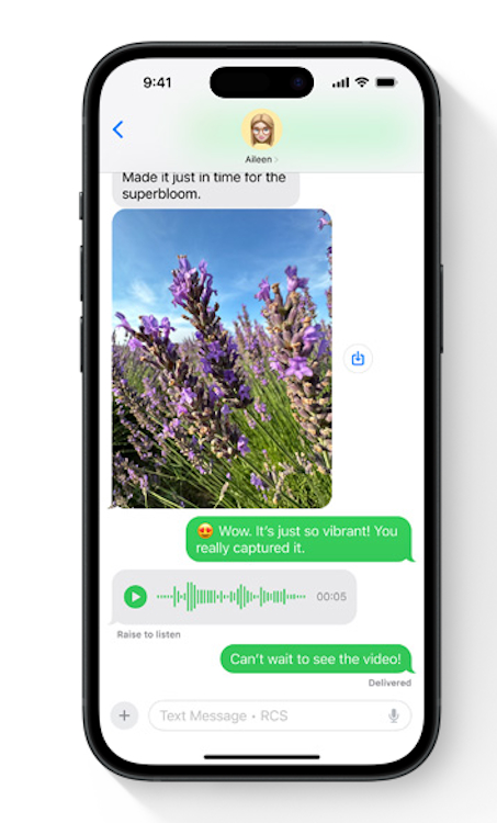 RCS Messaging on iOS 18 Explained: All Things an iPhone User Should ...