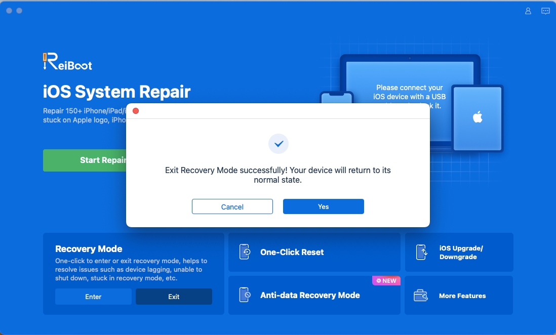 How to Fix iPhone Stuck in Recovery Mode (2024) | Beebom
