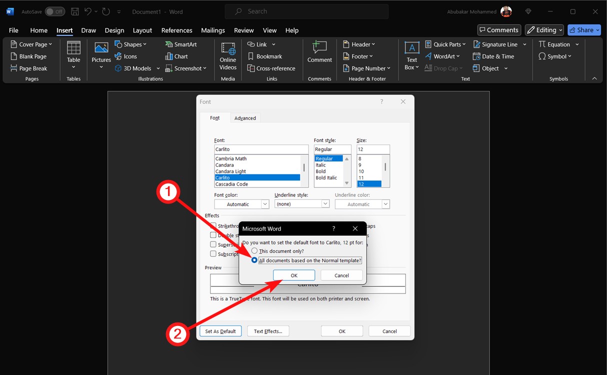 How to Change Default Font Style in Microsoft Word | Beebom