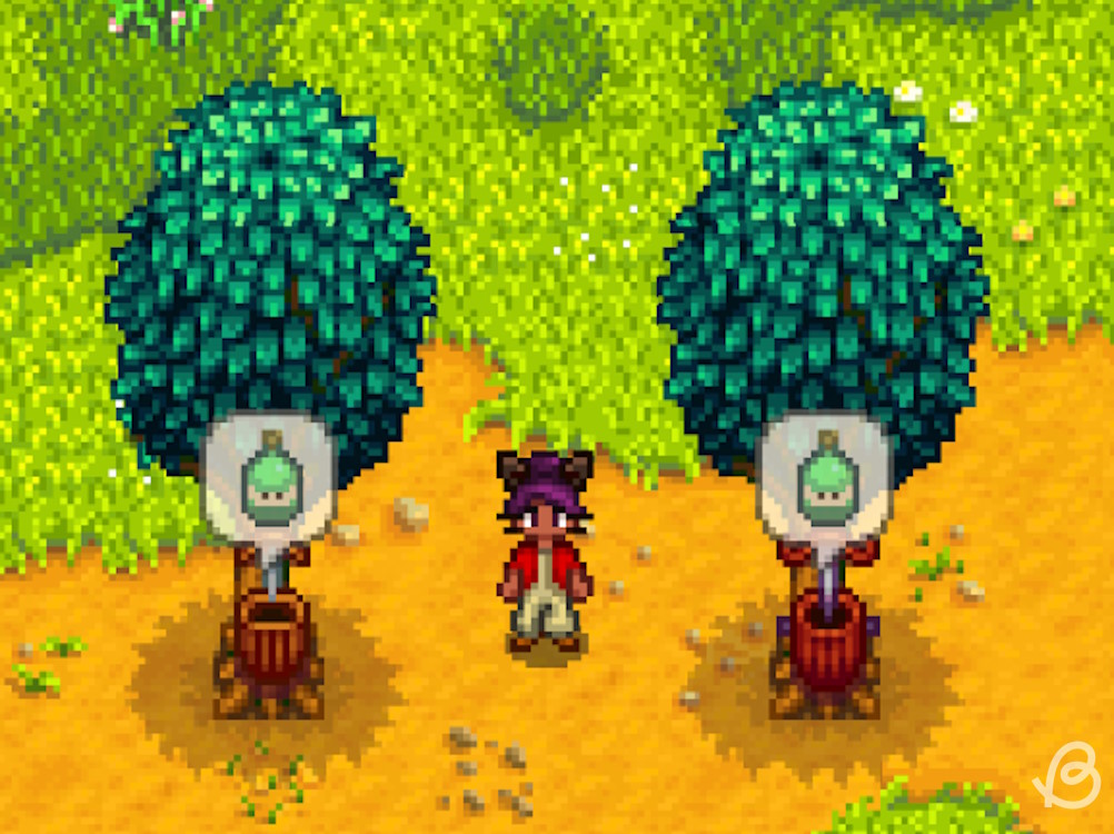 Oak Trees in Stardew Valley: Uses and How to Grow | Beebom