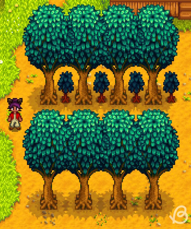 Oak Trees in Stardew Valley: Uses and How to Grow | Beebom