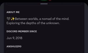 100+ Useful Discord Bio Templates | Beebom