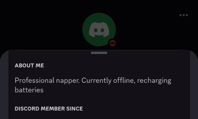 100+ Useful Discord Bio Templates | Beebom