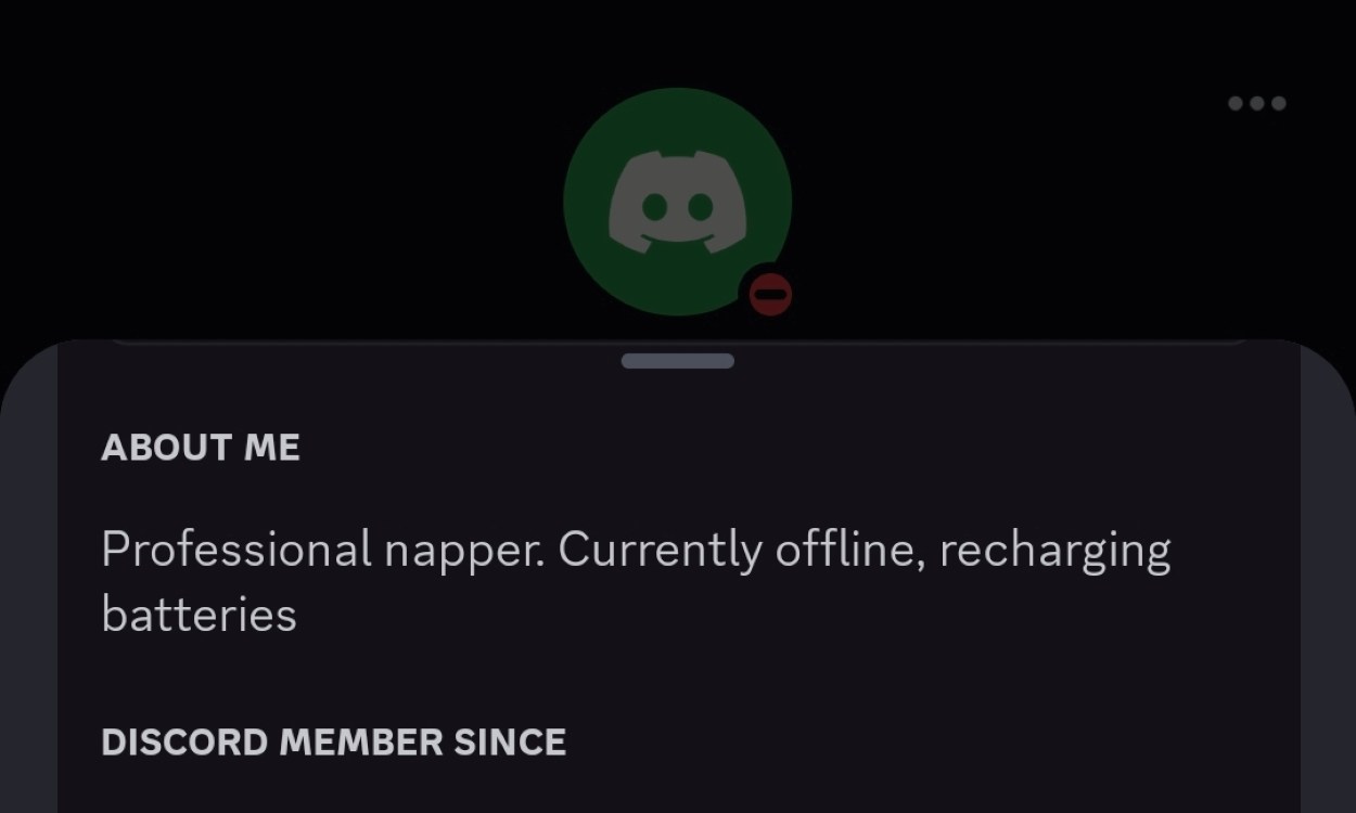 100+ Useful Discord Bio Templates | Beebom