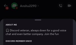 100+ Useful Discord Bio Templates | Beebom