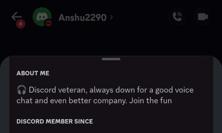 100+ Useful Discord Bio Templates | Beebom