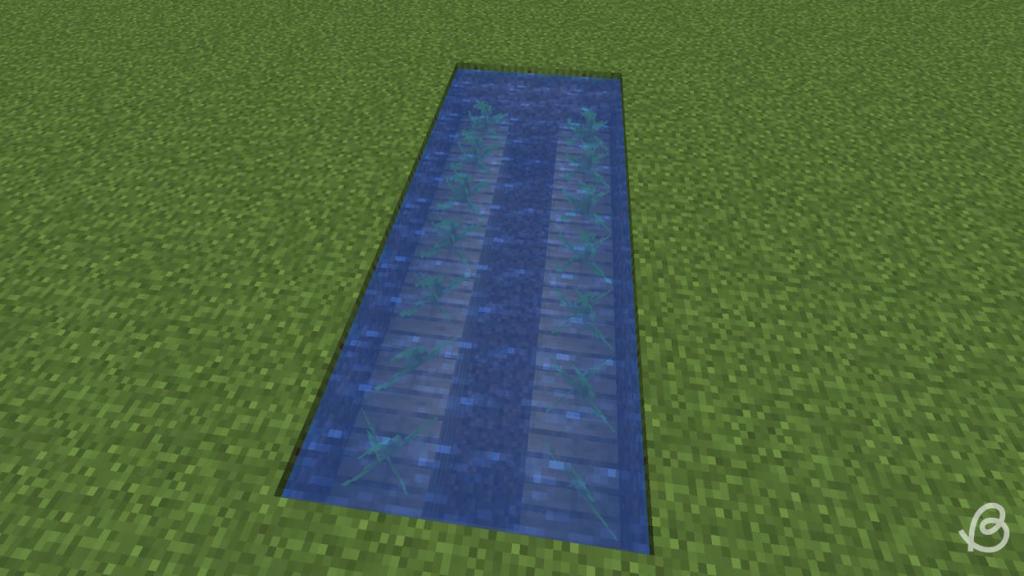 How to Make a Kelp Farm in Minecraft | Beebom