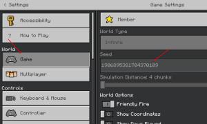 How to Find Your Minecraft World Seed Code (2025) | Beebom