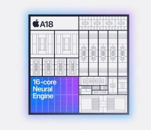Apple A18 vs A18 Pro: What's the Difference? | Beebom