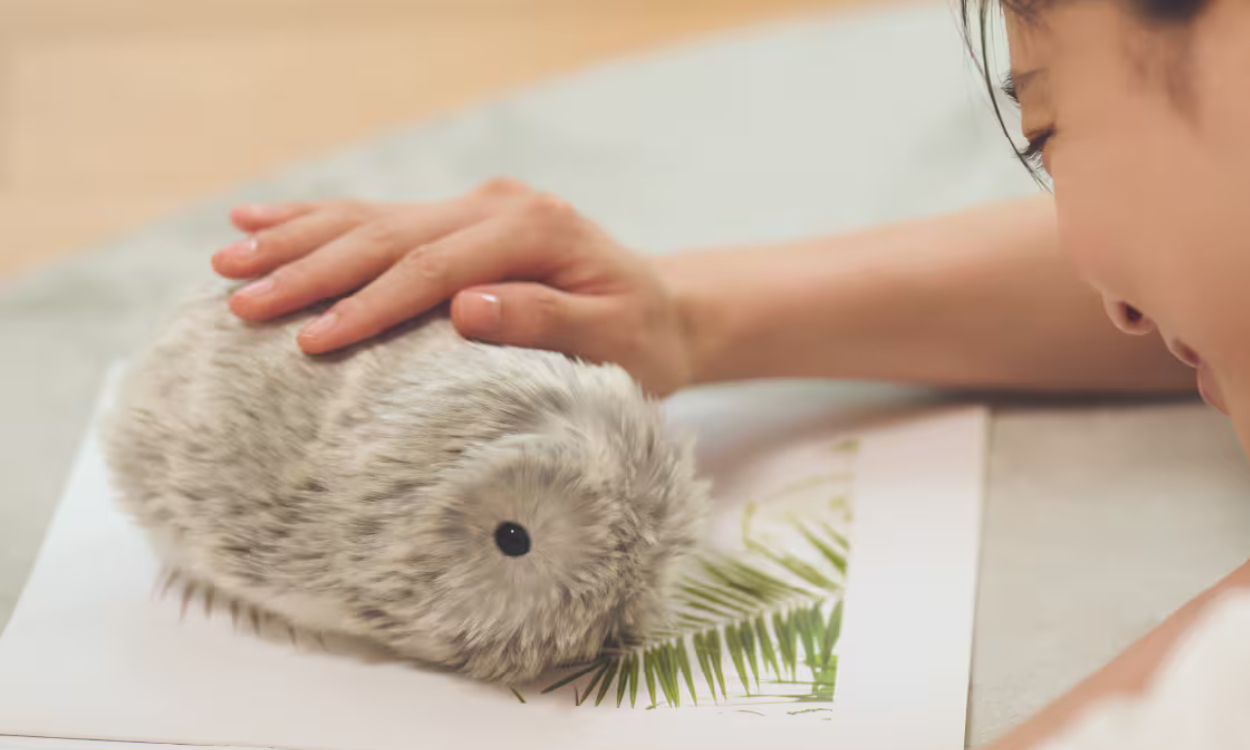 Casio's AI-Powered Robot Pet Wants to Be Your New Best Friend | Beebom