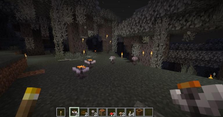 Minecraft Winter Drop: Release Date, New Mob, Biome, Blocks and More ...