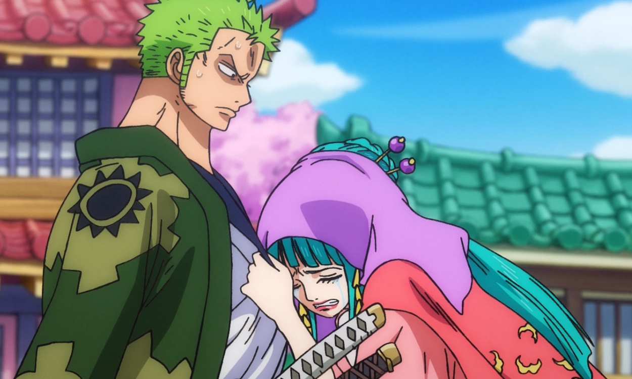 12 Most Popular One Piece Ships (Couples), Ranked | Beebom