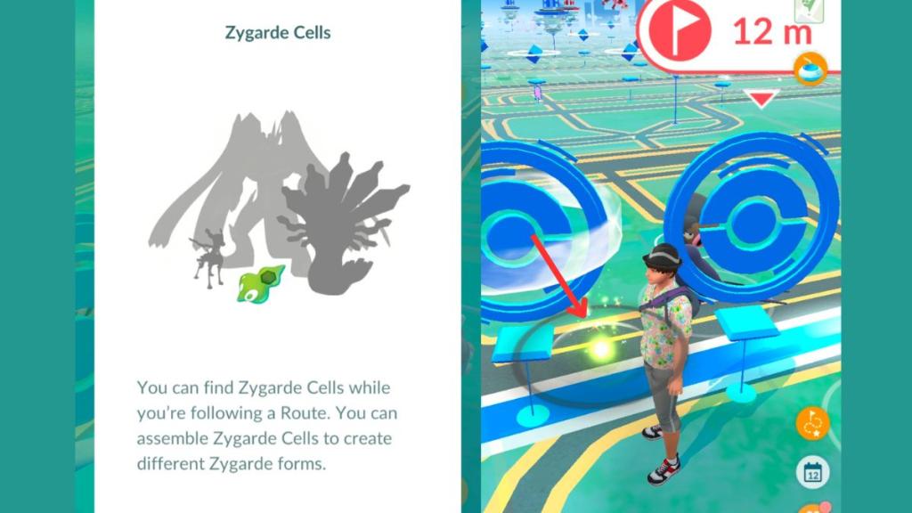 How to Get Zygarde Cells in Pokemon GO | Beebom
