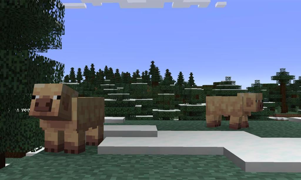 All Minecraft Pig Variants and Where to Find Them | Beebom