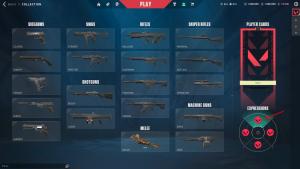 What Is Valorant Flex? How to Equip and Use | Beebom