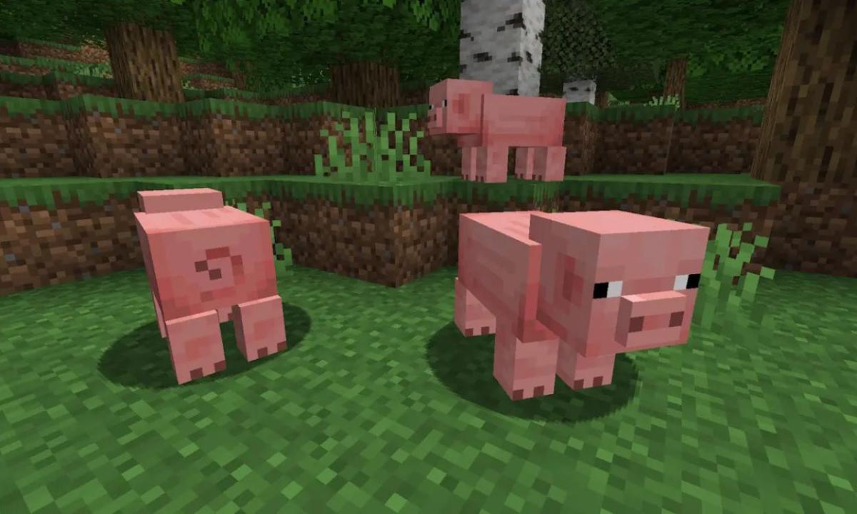 All Minecraft Pig Variants and Where to Find Them | Beebom