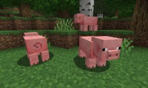 All Minecraft Pig Variants and Where to Find Them | Beebom