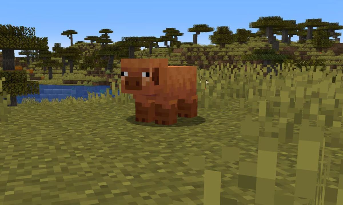 All Minecraft Pig Variants and Where to Find Them | Beebom
