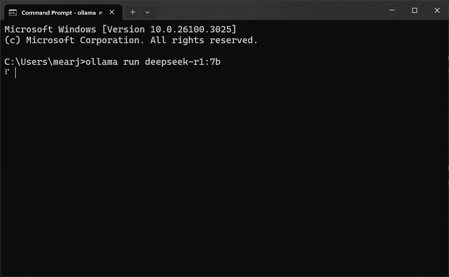 How to Run DeepSeek R1 Locally on Windows, macOS, Android & iPhone | Beebom