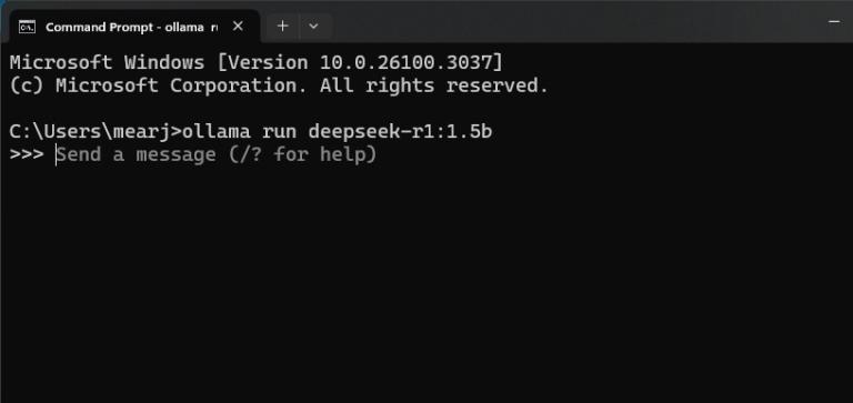 How to Run DeepSeek R1 Locally on Windows, macOS, Android & iPhone | Beebom