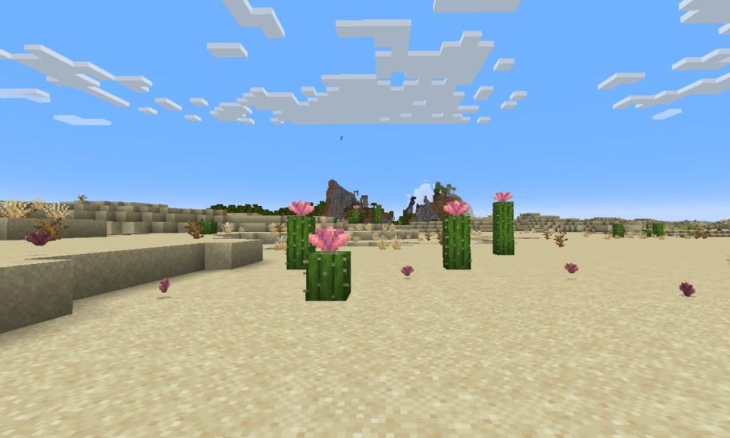 Minecraft Cactus Flower: How to Get, Uses and More | Beebom