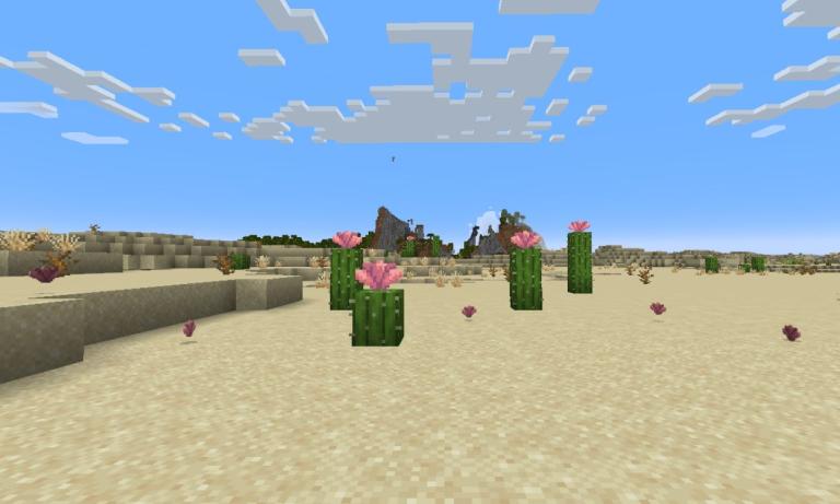 Minecraft Cactus Flower: How to Get, Uses and More | Beebom