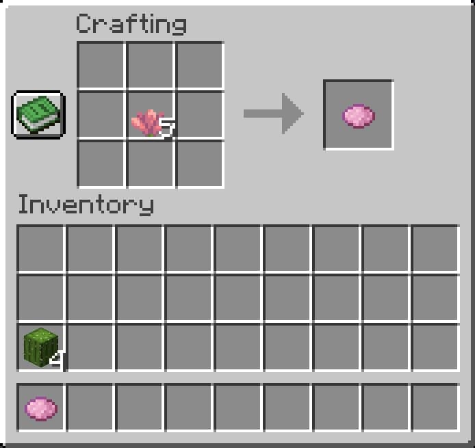 Minecraft Cactus Flower: How to Get, Uses and More | Beebom
