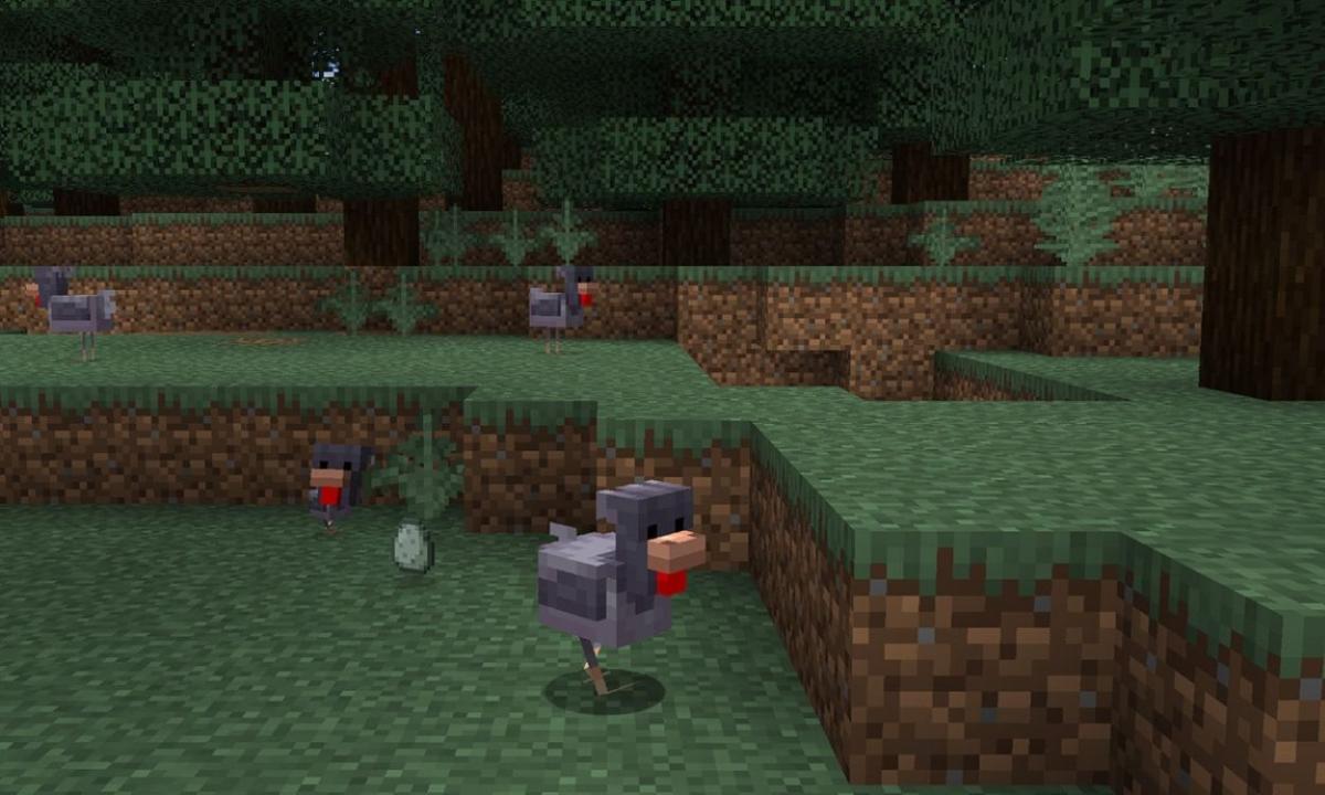 All Minecraft Chicken Variants and Where to Find Them | Beebom