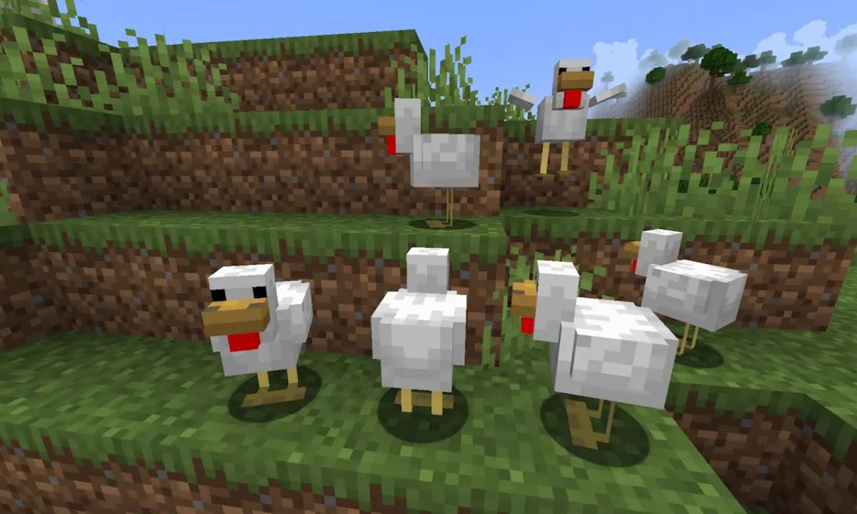 All Minecraft Chicken Variants and Where to Find Them | Beebom