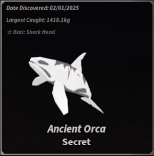 How to Complete the Orca Migration Event in Fisch | Beebom