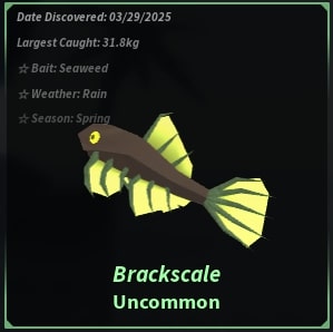 How to Complete Azure Lagoon Bestiary in Fisch | Beebom