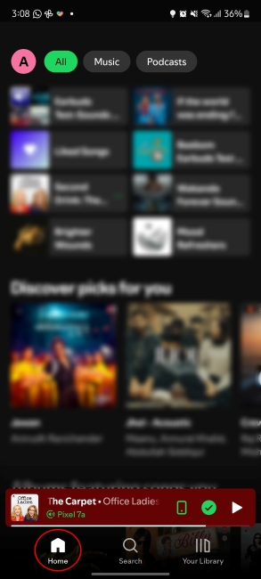Spotify Icons and Symbols Explained: What Do They Mean | Beebom