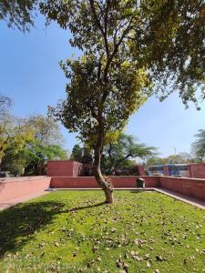 We Shot 900+ Photos with the Nothing Phone (3a) Pro and Its Camera Will ...