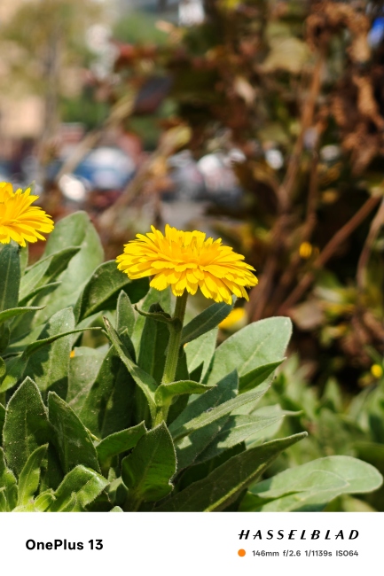 Nothing Phone (3a) Pro Periscope Camera Tested: The Results are ...