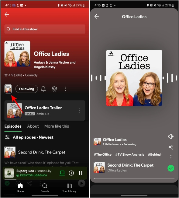 Spotify Icons and Symbols Explained: What Do They Mean | Beebom