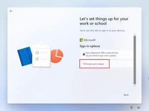 What is Windows 11 LTSC and Should You Install It? | Beebom