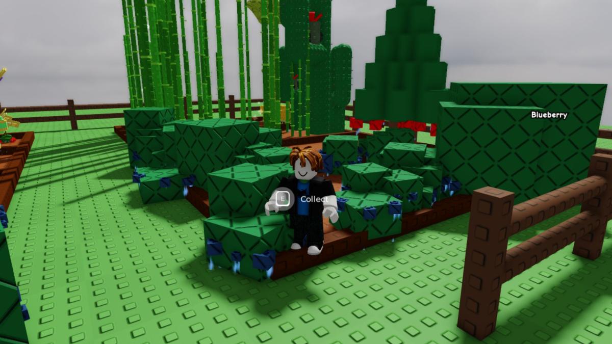 All Grow a Garden Glitches and How to Use Them | Beebom