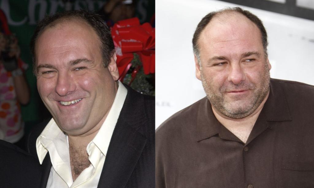The Sopranos Cast: Where Are They Now? | Beebom