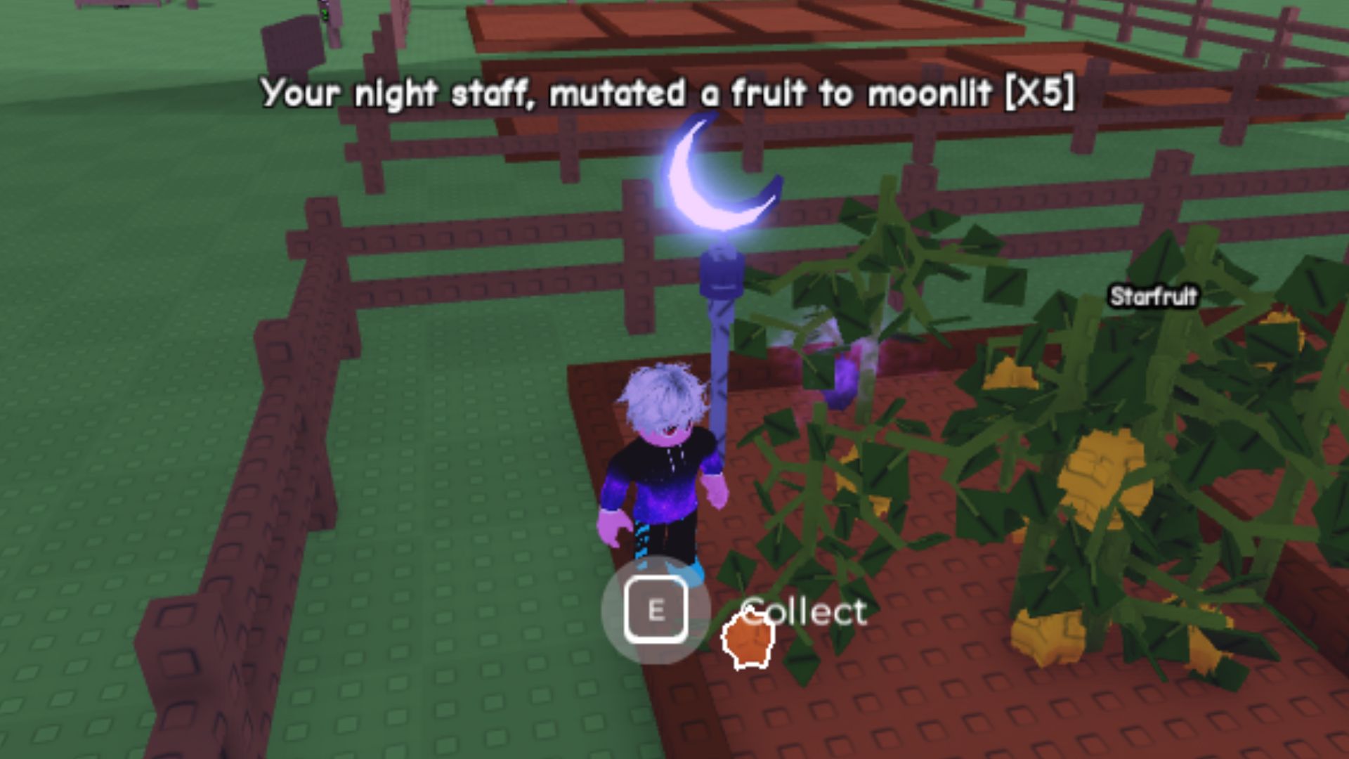 How to Get Moonlit Mutation in Grow a Garden Roblox | Beebom