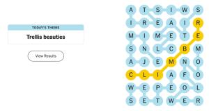 NYT Strands Today: Hints, Answers & Spangram for June 30, 2025 | Beebom