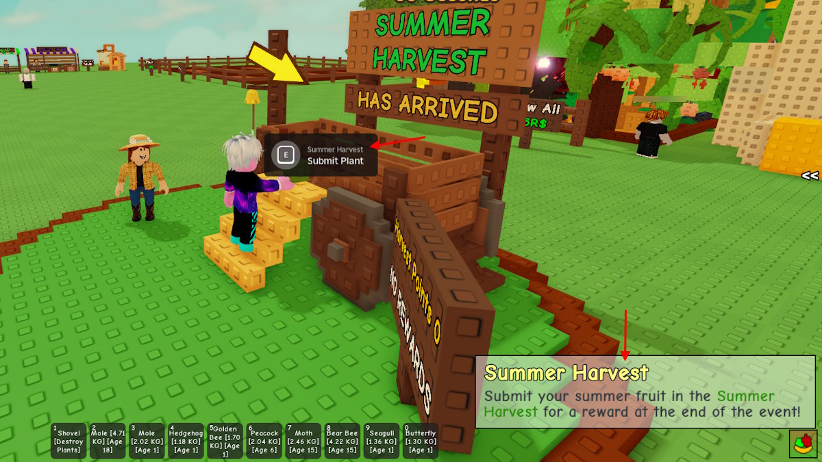 How to Get Summer Seed Pack in Grow a Garden Roblox | Beebom