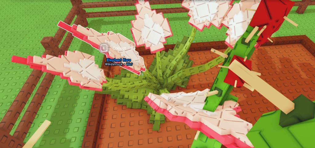 How to Get Elephant Ears in Grow a Garden Roblox | Beebom